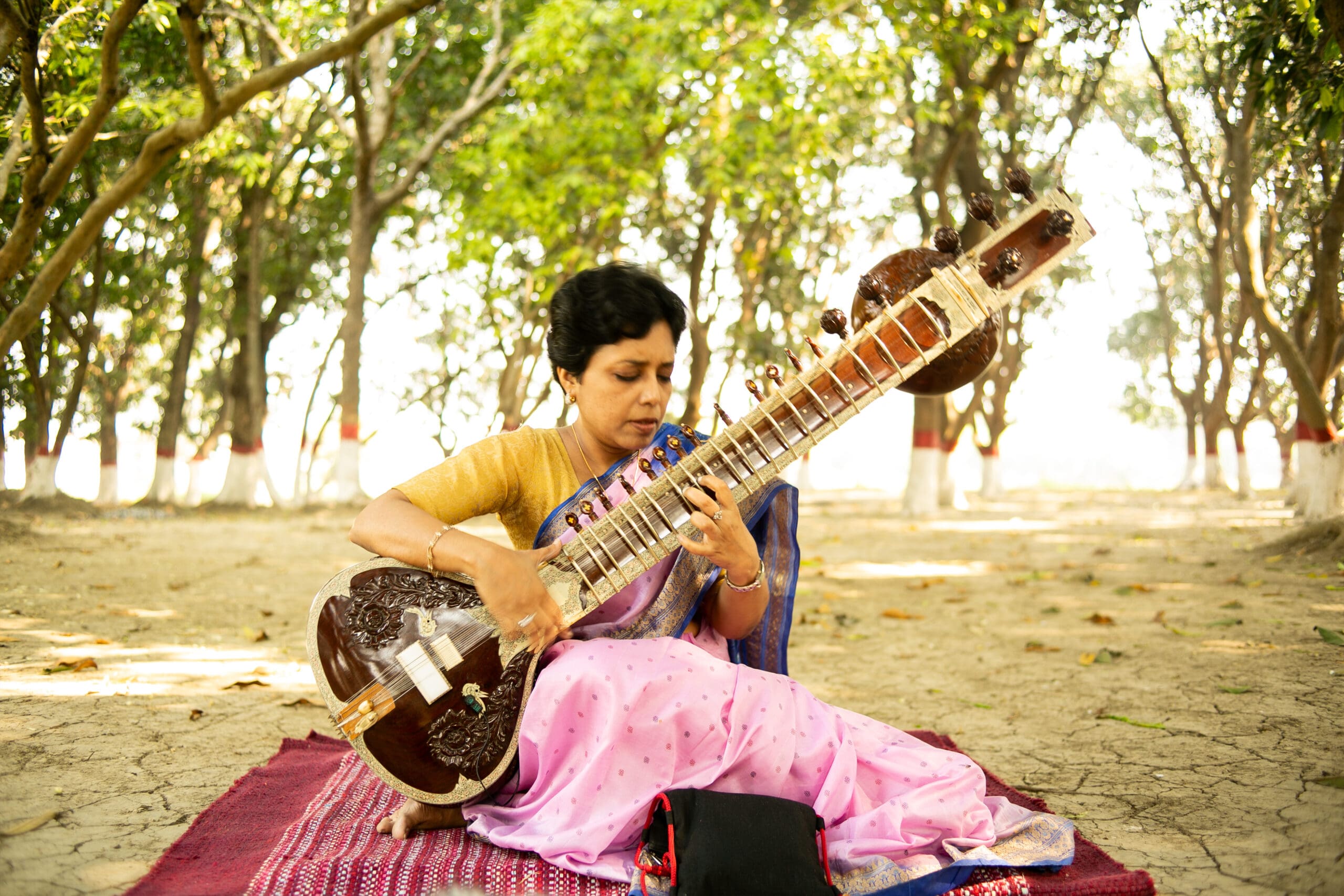 The Sitar and Surbahar: India’s most famous instrument and its bass ...
